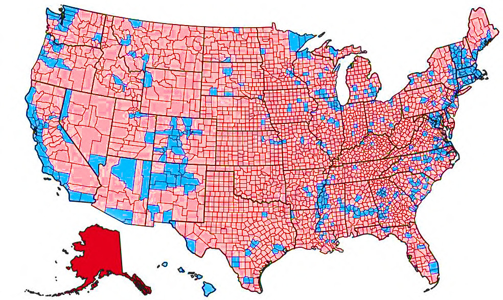 Unpacking National Election Results | The Plaquemines Gazette