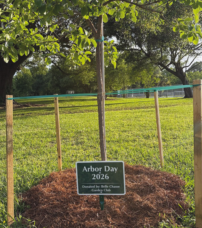 Belle Chasse Garden Club Marks Arbor Day With Tree Dedication | The ...